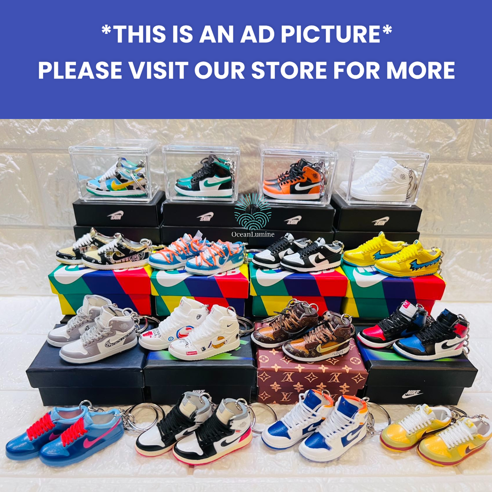 Jordan SB Dunk Keychains Collectible Mini Shoe Keyring With Display Box ...