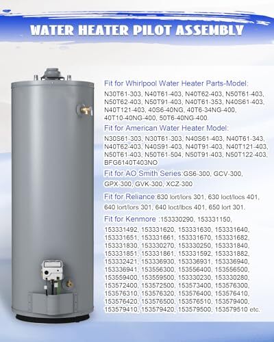 100112330 Water Heater Pilot Assembly Fit for Reliance/AO Smith ...