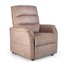 Golden Technologies Elara Deluxe Luxury Power Lift Recliner PR118 | eBay