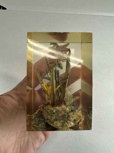 Vintage Signed Resin Paperweight W Rolfe Flower Terrarium Cube Nature ...