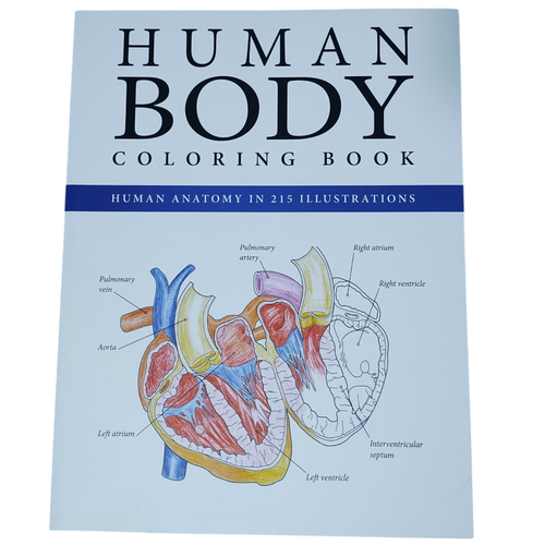 Human Body Coloring Book - Paperback - Very Good 9781435160996| eBay
