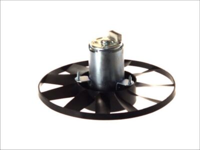 Electric Motor, radiator fan THERMOTEC D8W012TT | eBay Australia