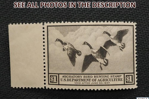 NobleSpirit (GT) US #RW3 1936 $1 Duck Stamp MNH =$325 CV VF | eBay