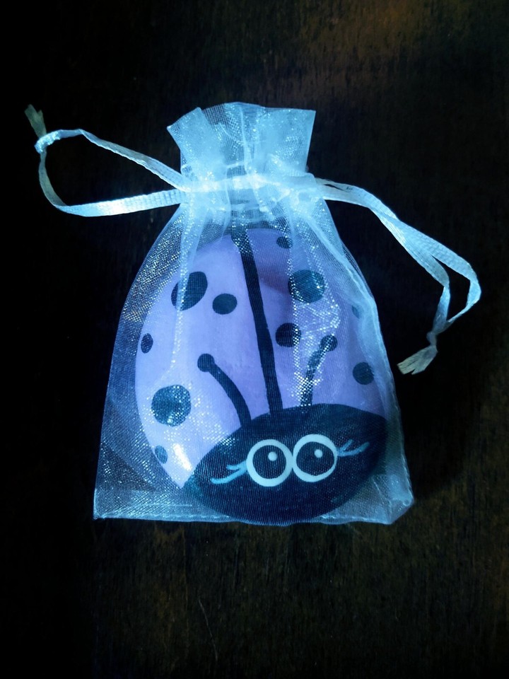 Lady Bug Rock, Purple Gift, Ladybug Rock, Hand Painted Rock, Friendship ...