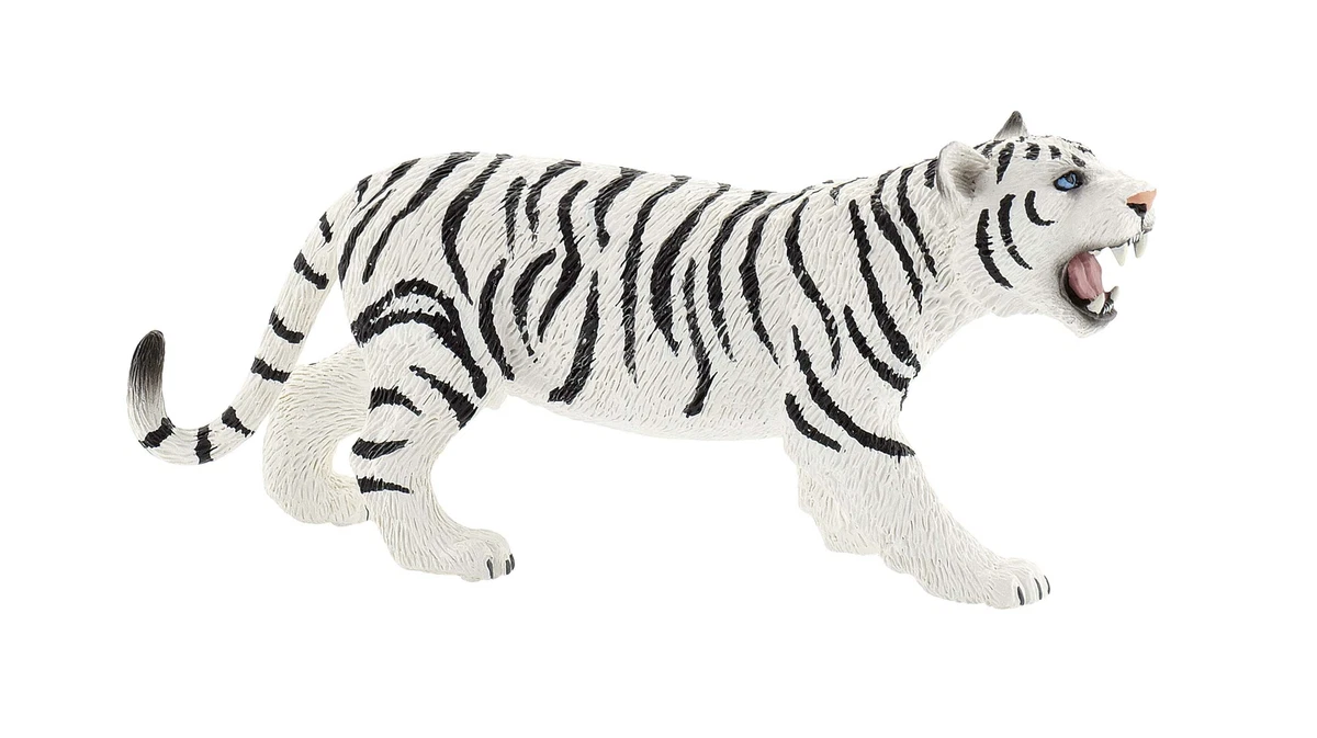 African White Tiger