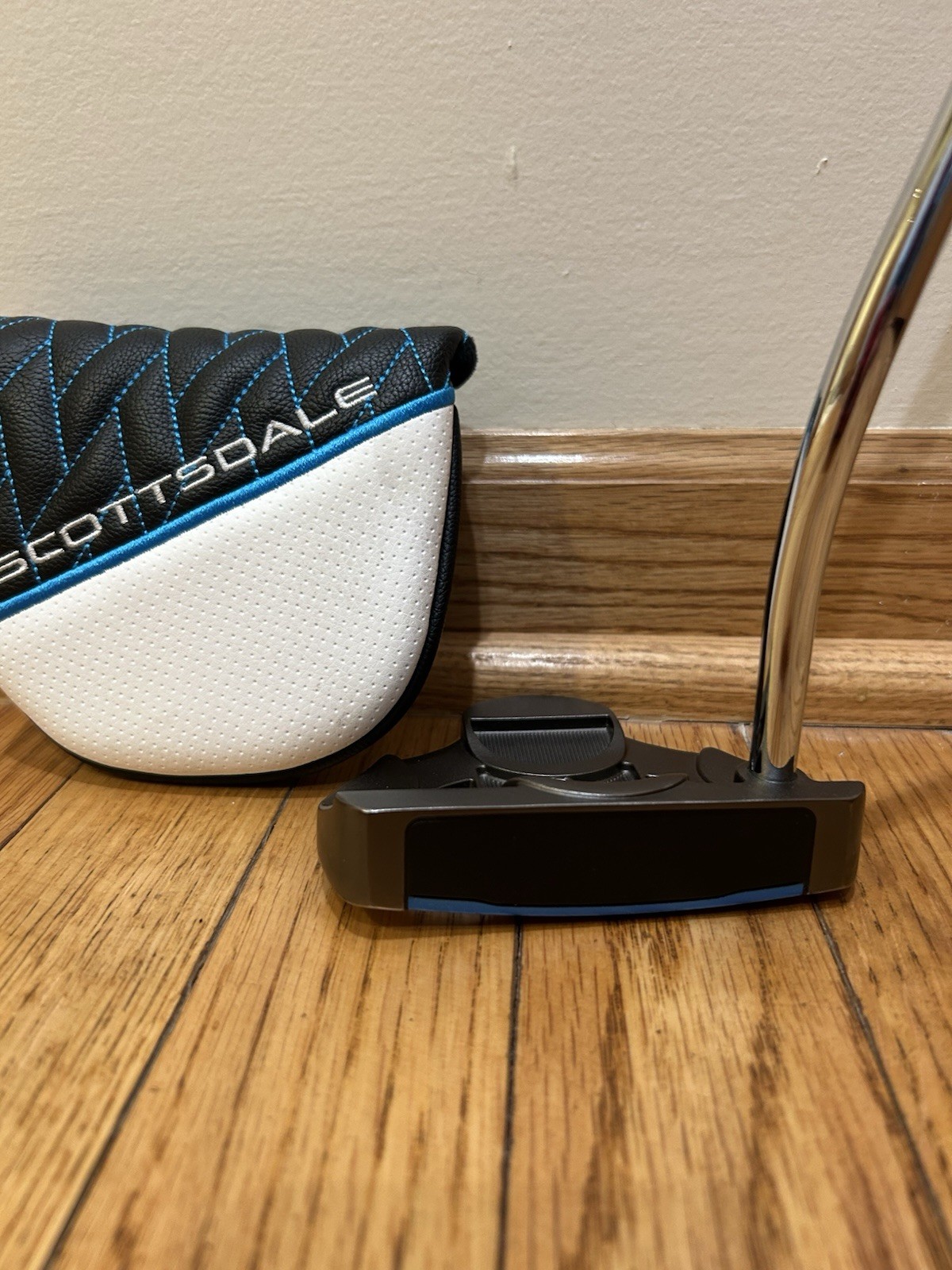 Ping 2025 Scottsdale Craz-E Putter Straight Arc Steel Right Black Dot ...