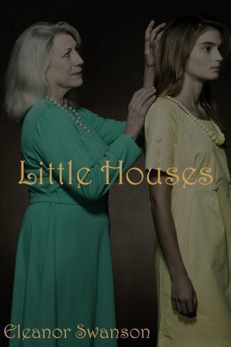 Little Houses by Eleanor Swanson (2013, Trade Paperback) for sale ...