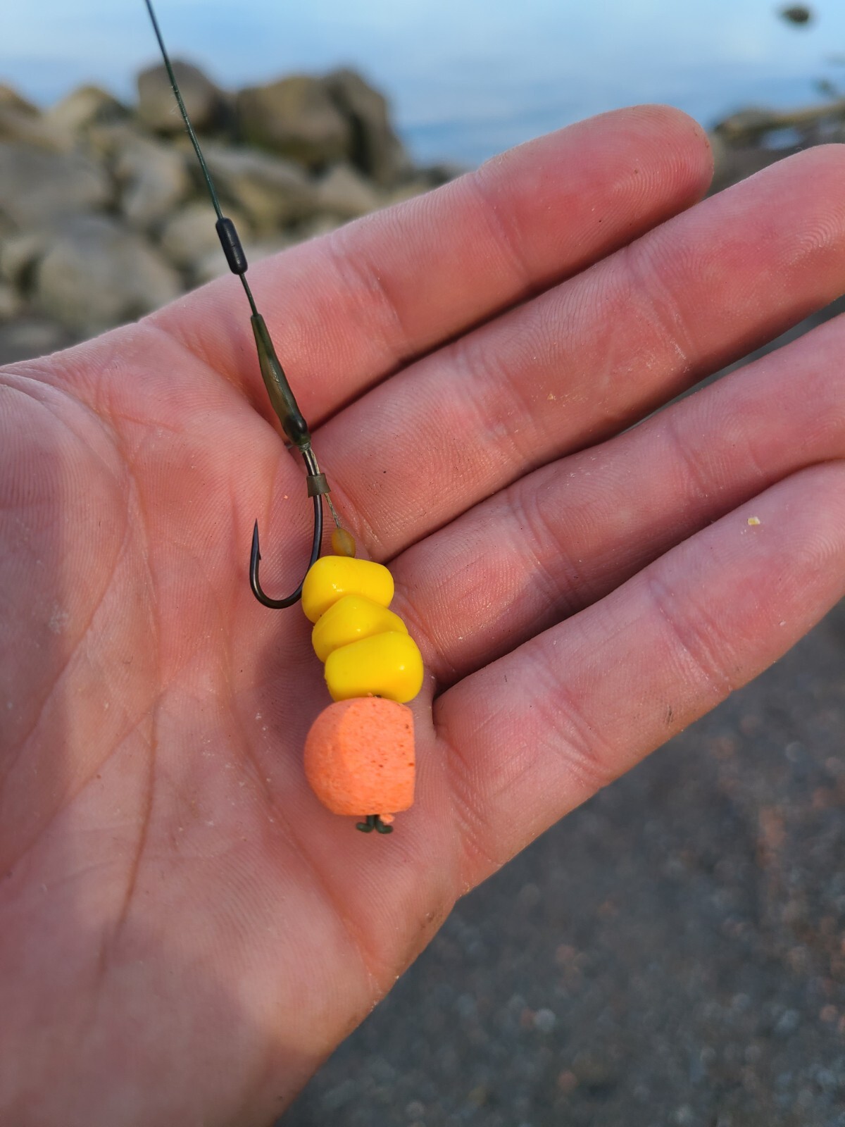 Carp Fishing POP-UP Richworth TechnoCarp sweetcorn bomg,krillberry ...