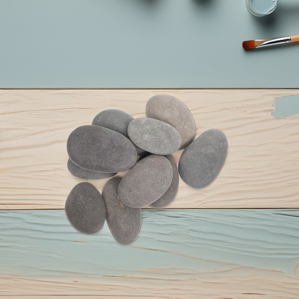 10 Pcs Natural Landscape Stone Stones for Plants Flat Rocks Fish Tank ...