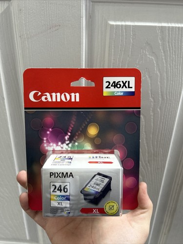 Canon CL-246XL Color Ink Cartridge for PIXMA MX492, MG3020, MG2920 ...