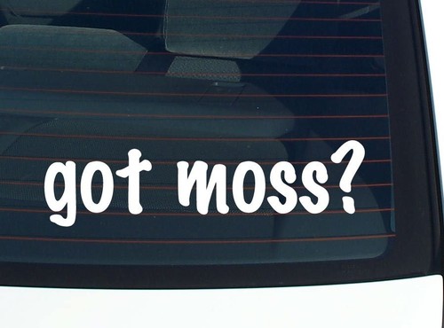 got moss? CAR DECAL BUMPER STICKER VINYL FUNNY LAST NAME WINDOW PRIDE ...