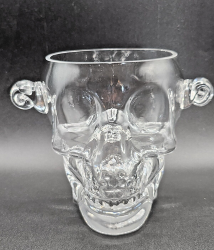 Brain Freeze, Crystal Clear Glass Skull Ice Bucket | eBay