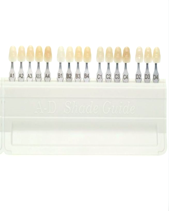IVOCLAR VIVADENT A-D SHADE GUIDE - Bleach shades not included | eBay