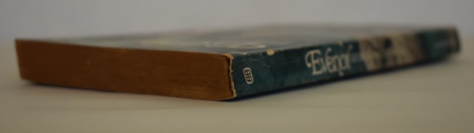Evenor, George Macdonald, Ballantine Adult Fantasy | eBay