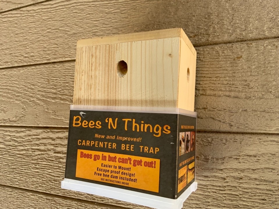 Bees N Things Outdoor Carpenter Bee Hanging Trap with 15 ft. Coverage ...