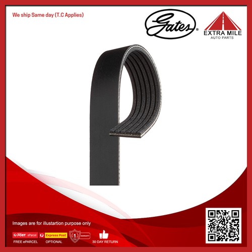 Gates V-Ribbed Belt For Volkswagen Golf MKIV,1E7, MKIII,1H1 1.8L/2.0L ...