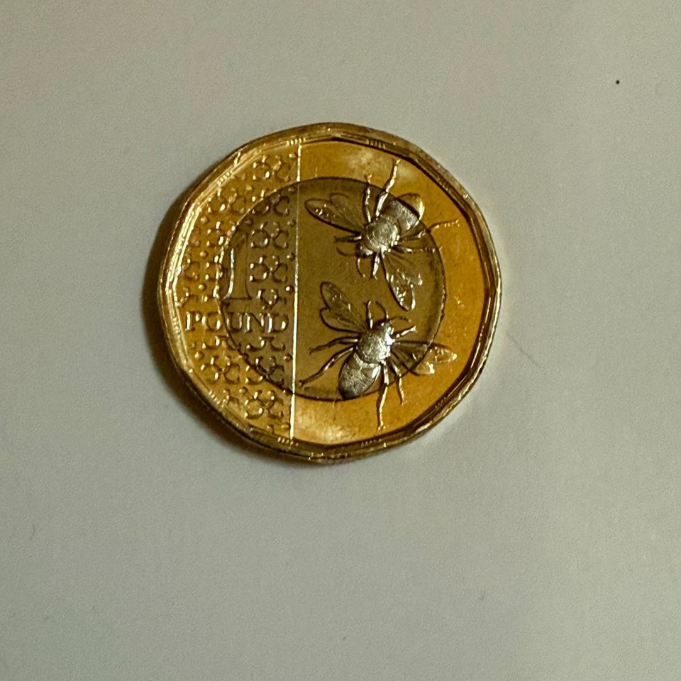 2025 £1 Pound Coin - Bees - King Charles III - Circulated Condition ...