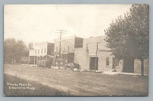 Main Street SHEPHERD Michigan RPPC Rare Antique Photo Isabella County ...