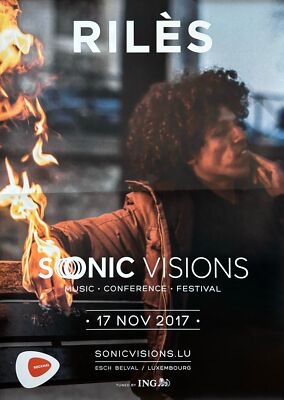 Rilès - Sonic Visions 2017 - 60x84cm - Poster | eBay