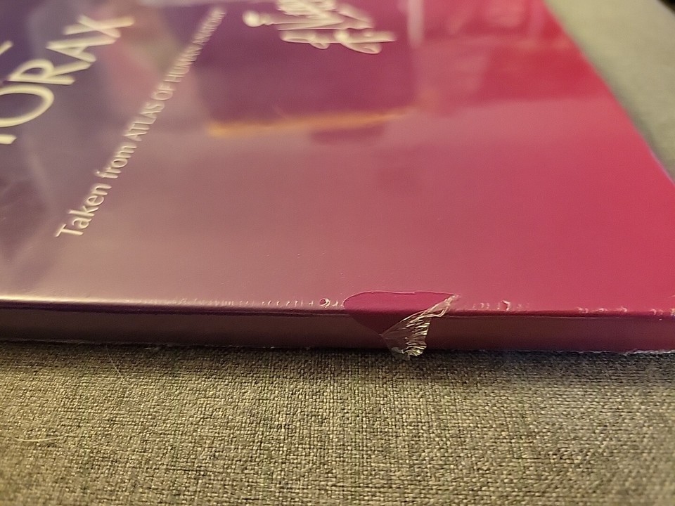 Anatomy Of The Head And Neck And Thorax From Atlas Of Human Anatomy ...