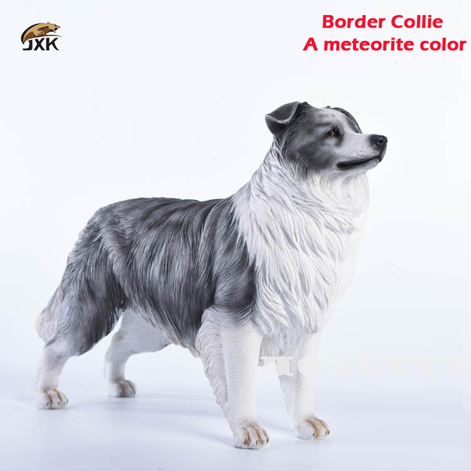 JXK Border Collie Dog Model 1/6 Resin Pet Figurine Animal Collectible ...