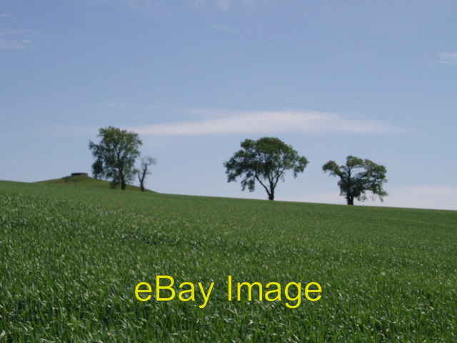 Photo 6x4 Corrington and trees Dinder 136m high Corrington (and ...