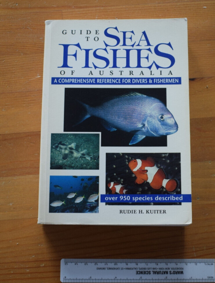 Guide to Sea Fishes of Australia by Rudie H. Kuiter 1997 | eBay