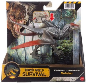 Toywiz Inc | eBay Stores