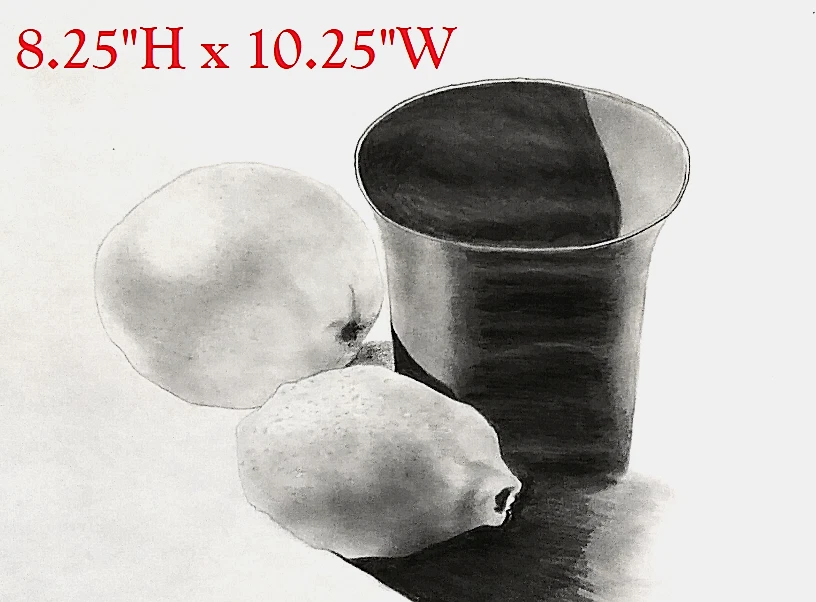 Lemon Pencil Drawing