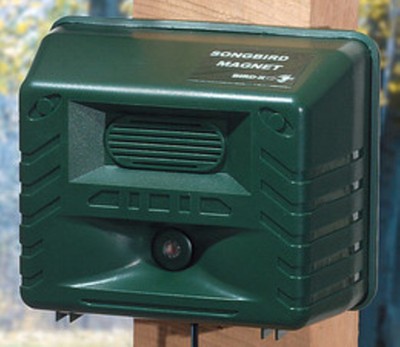 BIRD-X SONGBIRD Magnet Electronic Bird Caller Sounds Songs Box Purple ...