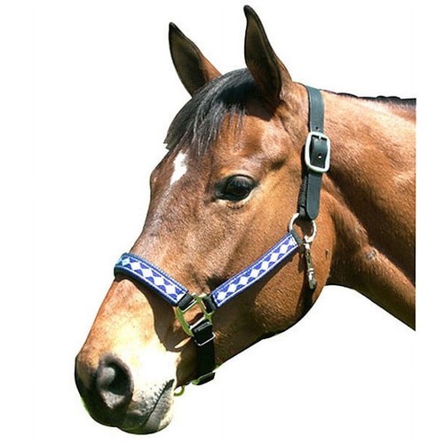 INTREPID INTERNATIONAL Leather Crown Diamond Pattern Blue/Silver Web ...