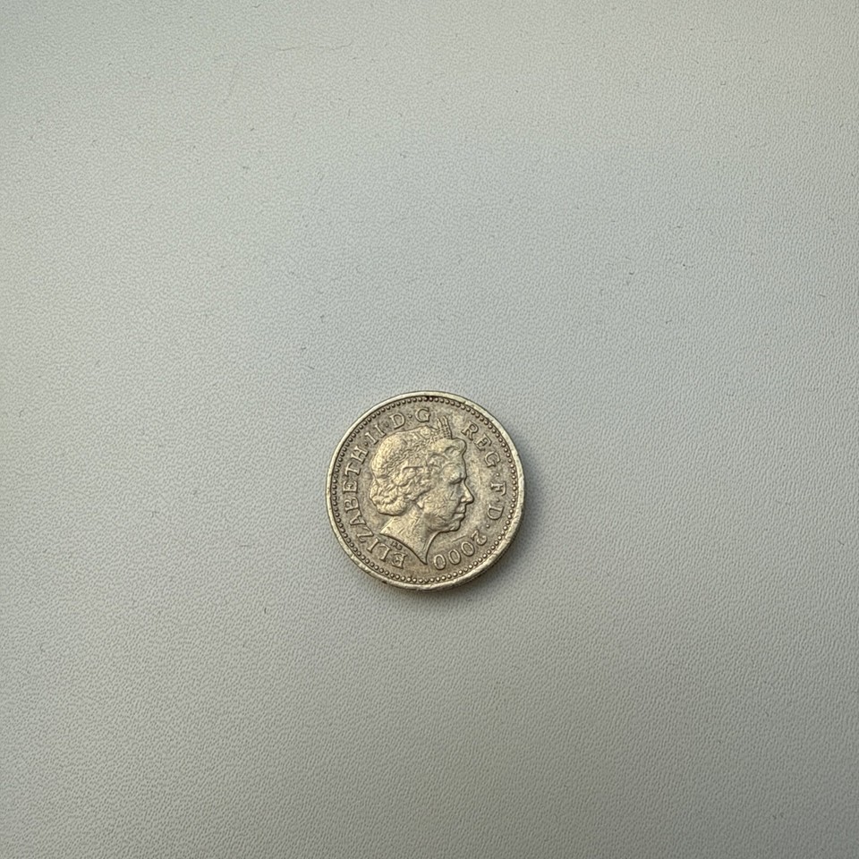 Rare £1 Coin Welsh Dragon Emblem | eBay UK