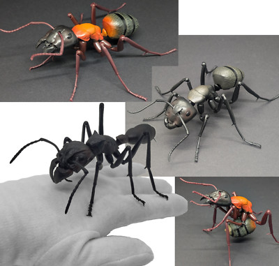 Bandai Gashapon Ant Figure 4.7 inch Big Realistic Paraponera Direct ...