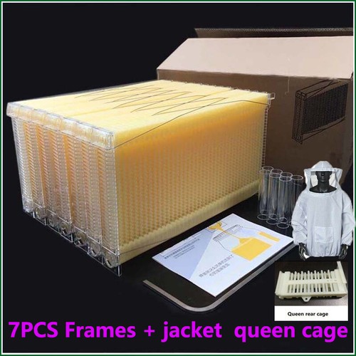 7 Plastic Automatic Bee Hive frames Combs Bee Keeping Equipment Beehive ...