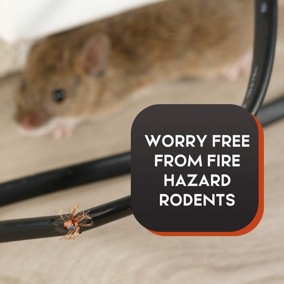 Squirrel Traps Outdoor - Squirrel Traps - Ouell Traps - Trap for ...