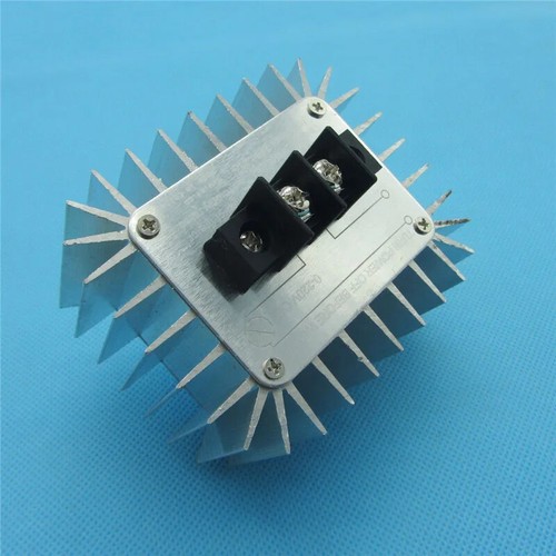 Voltage Regulator, 5000W, AC 220V, SCR Dimming, Thermostat, Aluminum ...