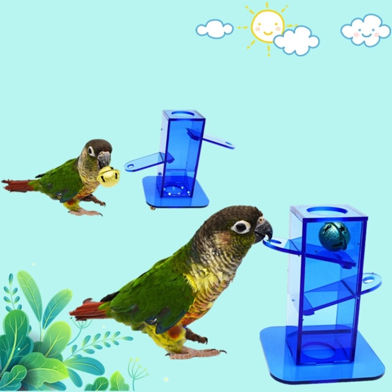 Bird Foraging Toy for Creative Intelligence Training Toy for Small ...