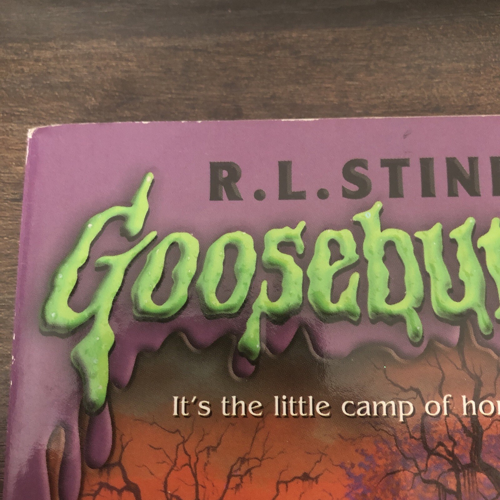 Goosebumps Welcome To Camp Nightmare (Paperback, 1993) R. L. Stine ...