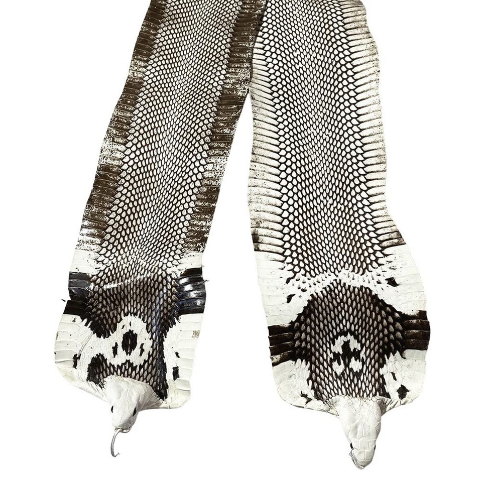 Cobra Snake Skin Snake Leather Hide Splitting Snakeskin with Head Cobra ...