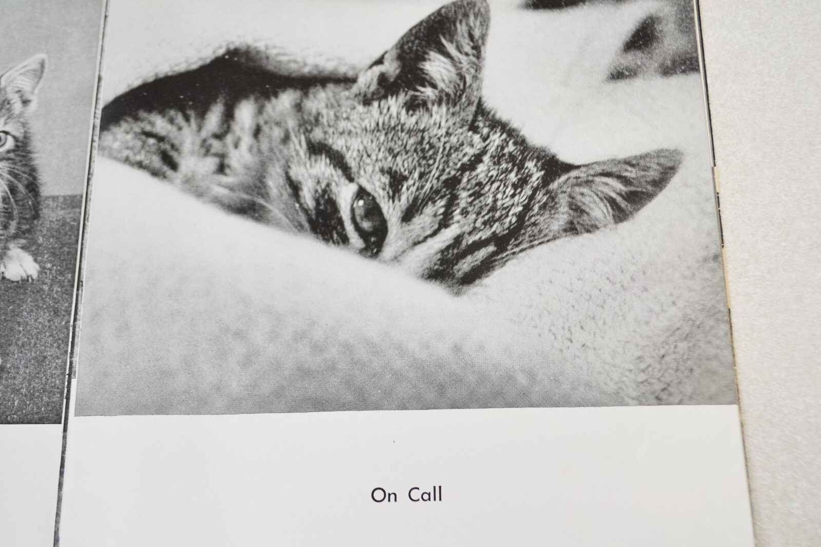 Cat-a-log & Infirmary, 1956 Ethicon Sutures Cat & Dog Humor Booklets ...