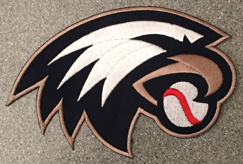 2007-11 YORK REVOLUTION ATLANTIC MINOR LEAGUE BASEBALL 5" TEAM LOGO ...