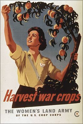 Poster, Many Sizes; Harvest War Crops, Women'S Land Army Propaganda ...