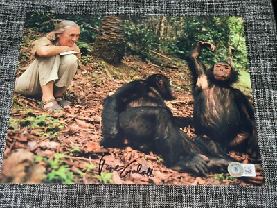 JANE GOODALL SIGNED 8X10 PHOTO PRIMATOLOGIST MONKEY CHIMPANZEE BECKETT ...