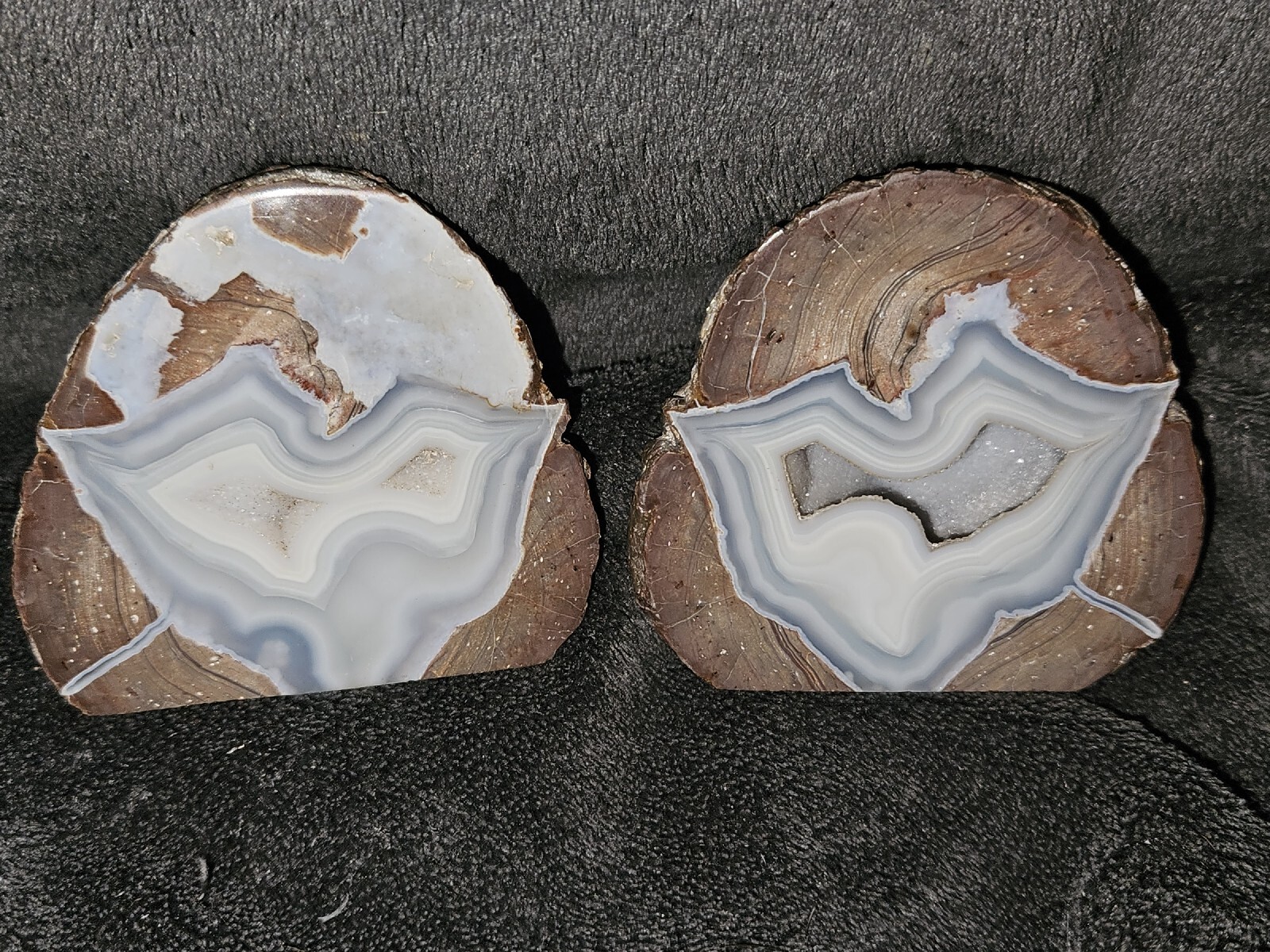 Thunderegg Polished Agate Banding Banded Crystal Quartz Fossil Oregon ...