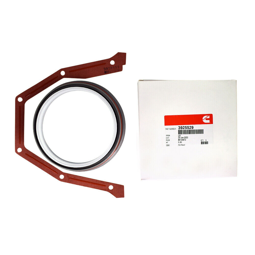 OEM Rear Main Crankshaft Oil Seal kit 3925529 for Cummins 5.9L 12V 24V ...