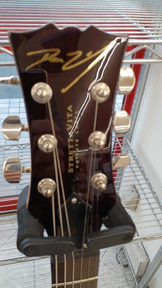 DEAN ZELINSKY GUITAR STRETTAVITA | eBay