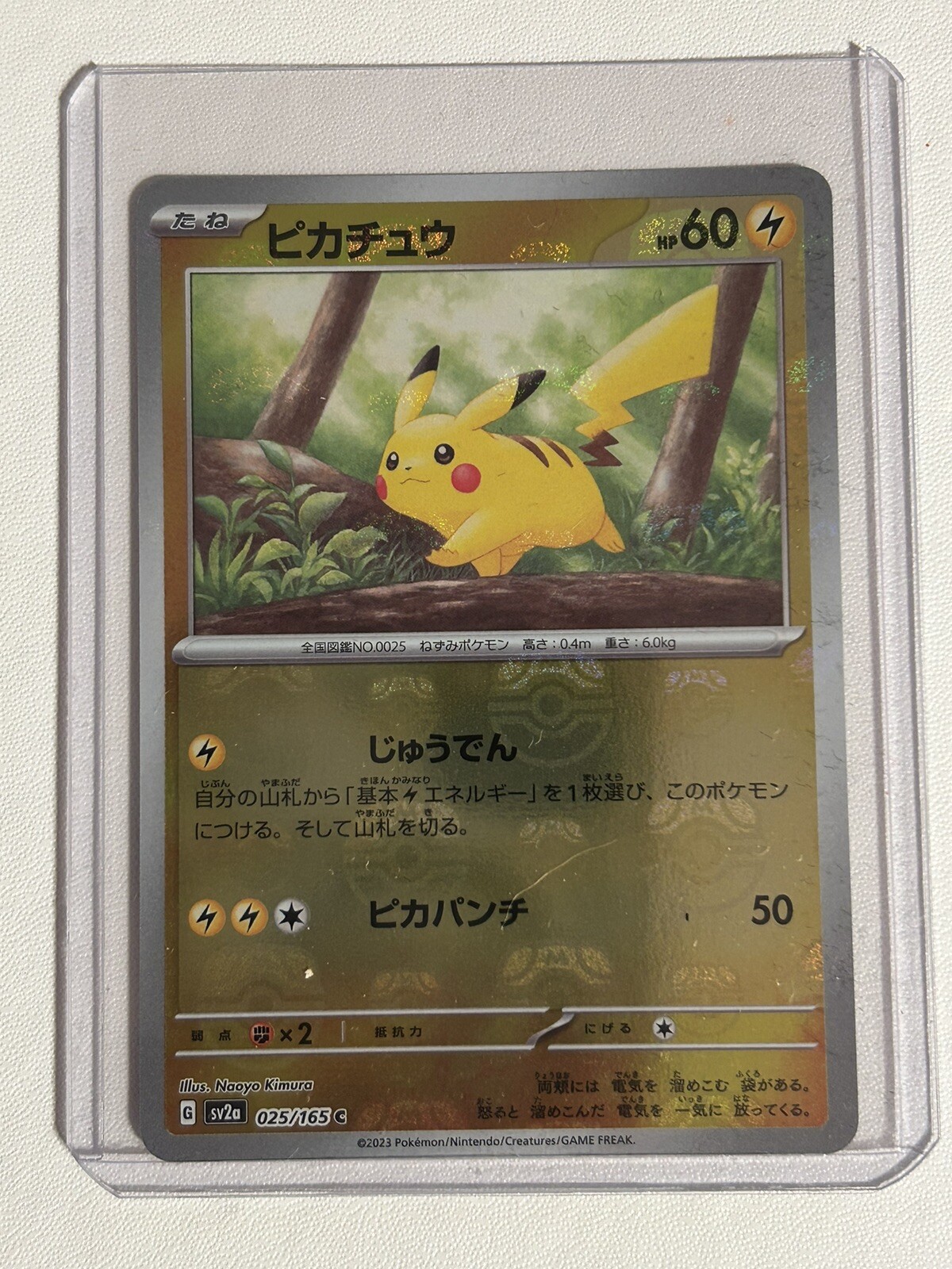 Japanese 151 Pikachu Master Ball Holo | eBay