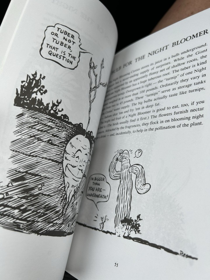 What Kinda Cactus Izzat Reg Manning Who's Who In The Desert Cartoon ...