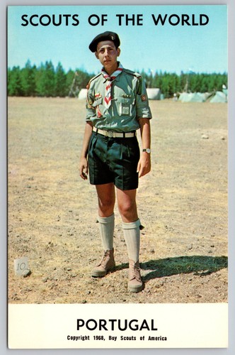 1968 Boy Scouts of America Portugal Scout Postcard Vintage Camping | eBay