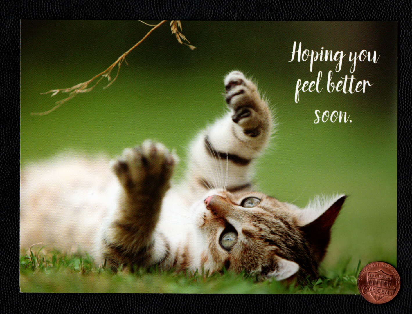 Feel Better Soon Cat